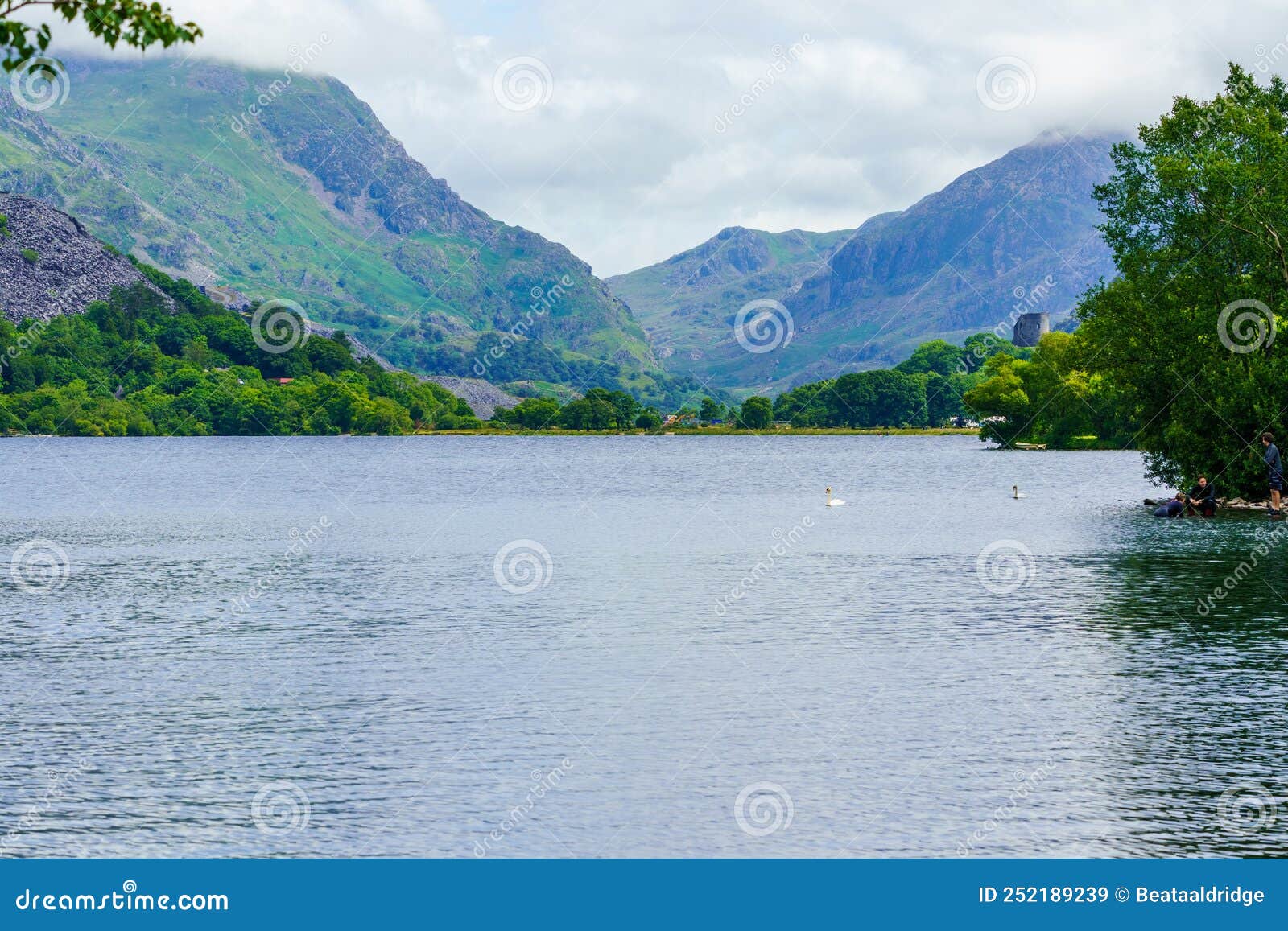 Llyn Padarn lake stock image. Image of view, summer - 252189239