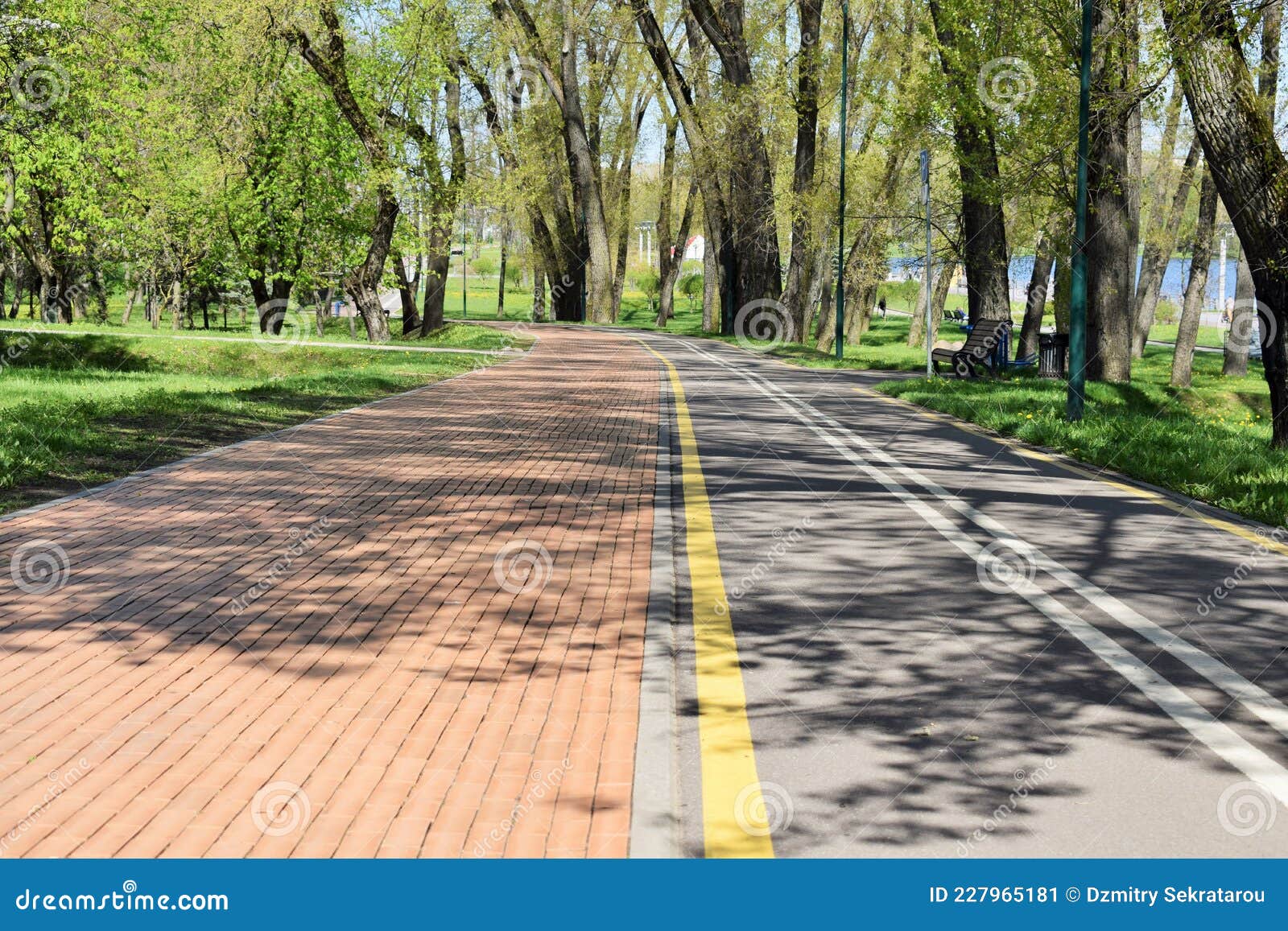 Lmodern Bike Path in the Park Stock Image - Image of forest, protected ...