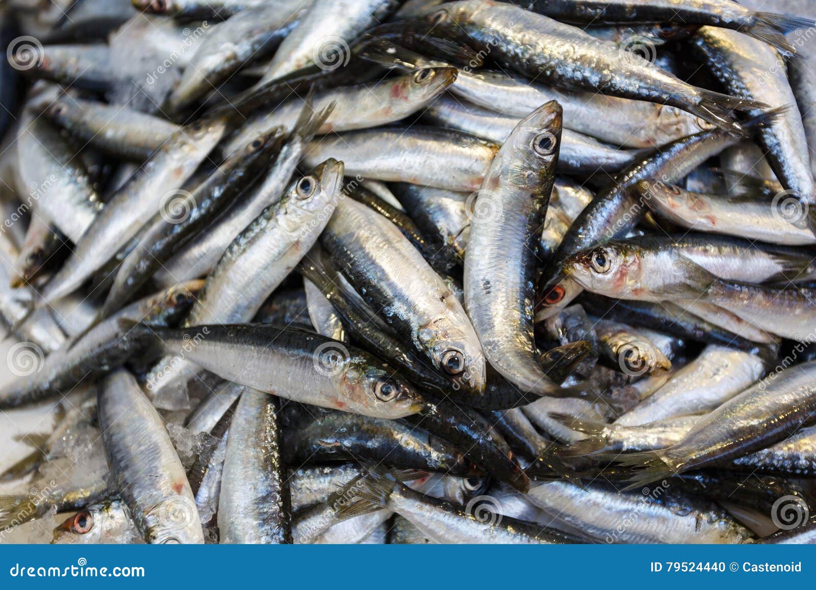 Lo spratto fresco fotografia stock. Immagine di commercio - 79524440