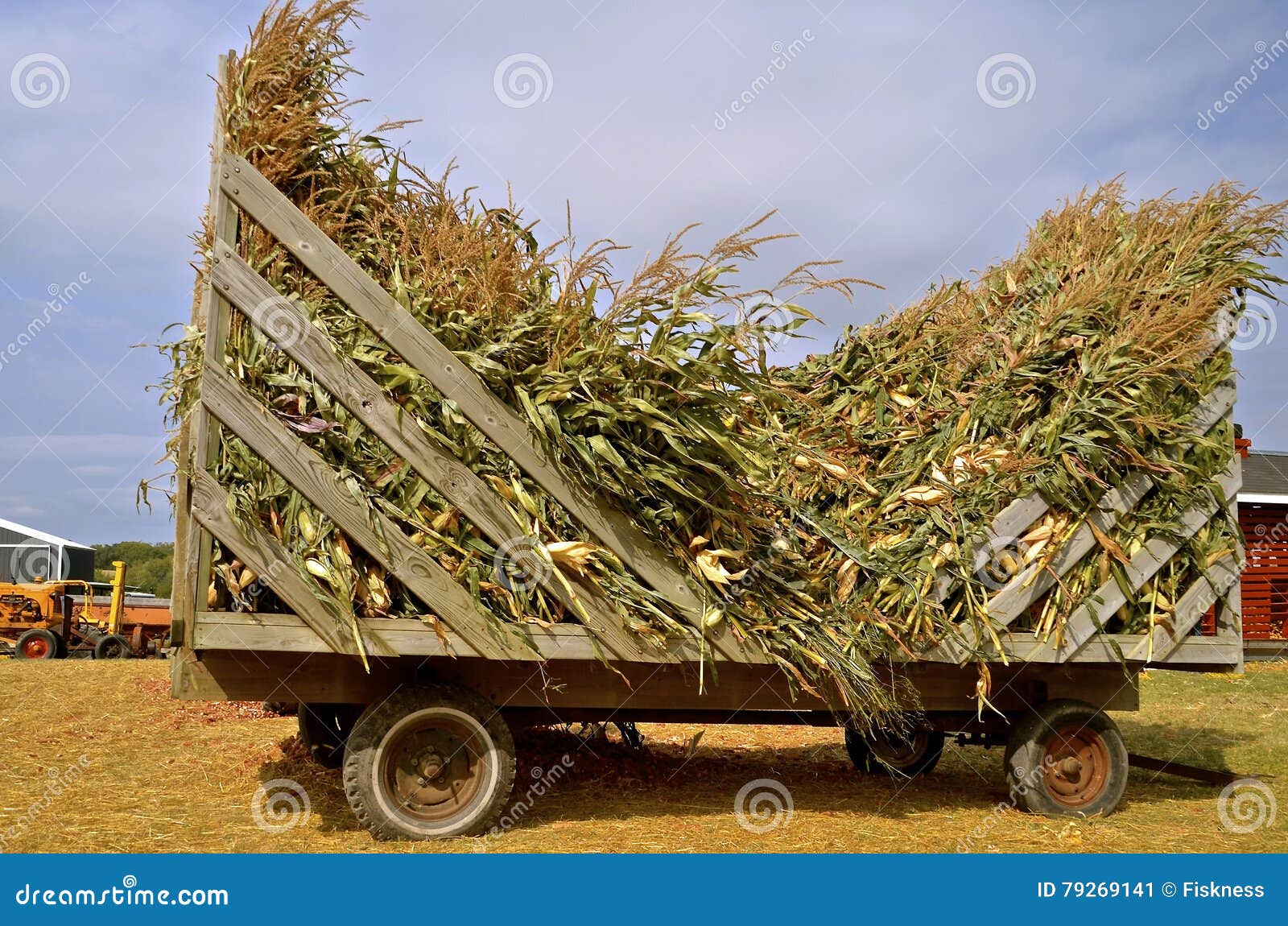 Load of corn shocks stock image. Image of primitive, bundle - 79269141
