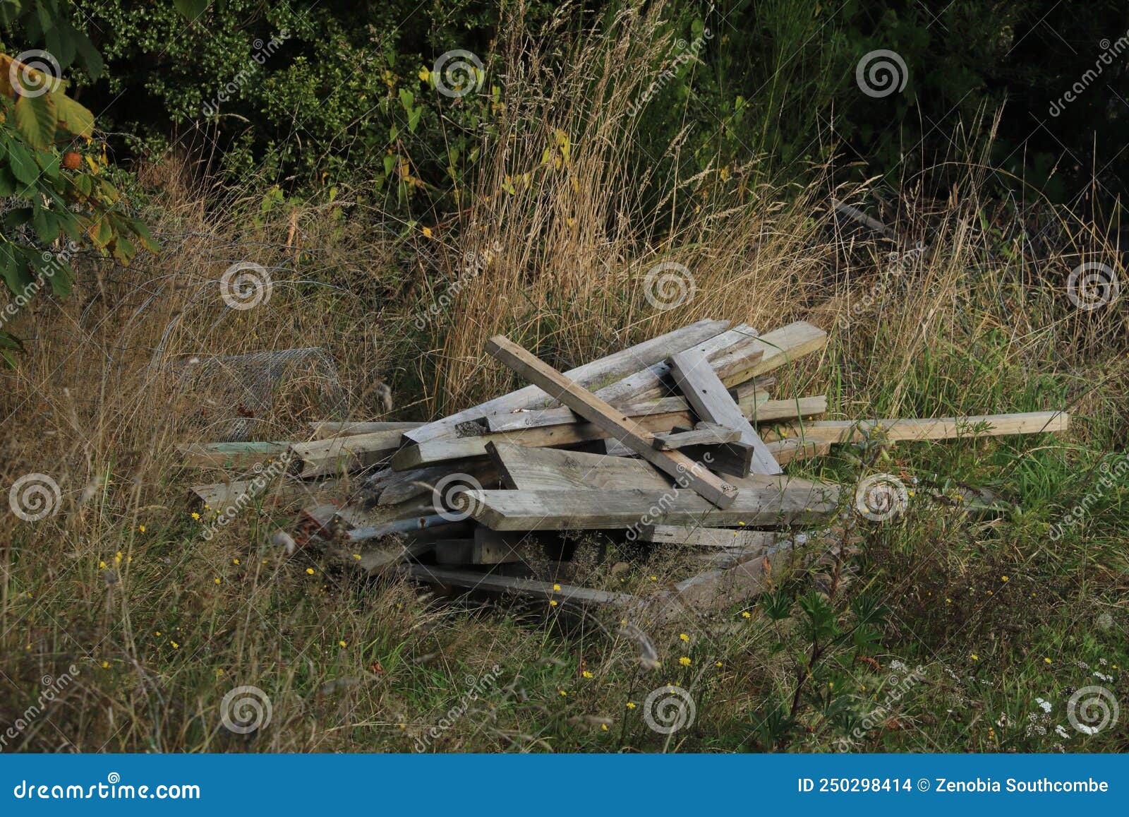 A Load of Scrap Timber in Neglected Garden Stock Photo - Image of ...