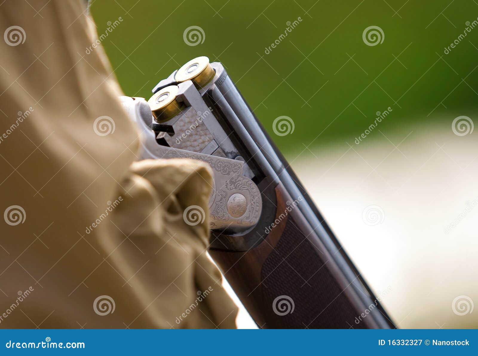 Loaded Hunting Gun Ready for the Hunt Stock Image - Image of wild ...