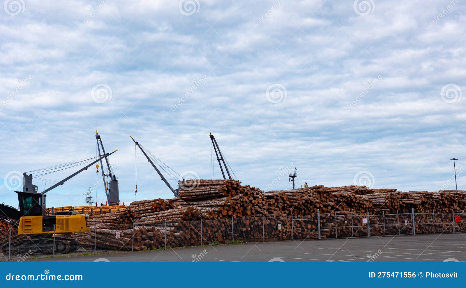 Loader Loading Timber. Building Materials, Timber Stock Photo - Image ...