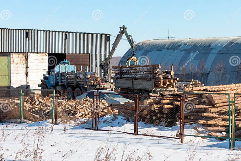 Loader Loads Logs into a Timber Truck Stock Photo - Image of crane ...