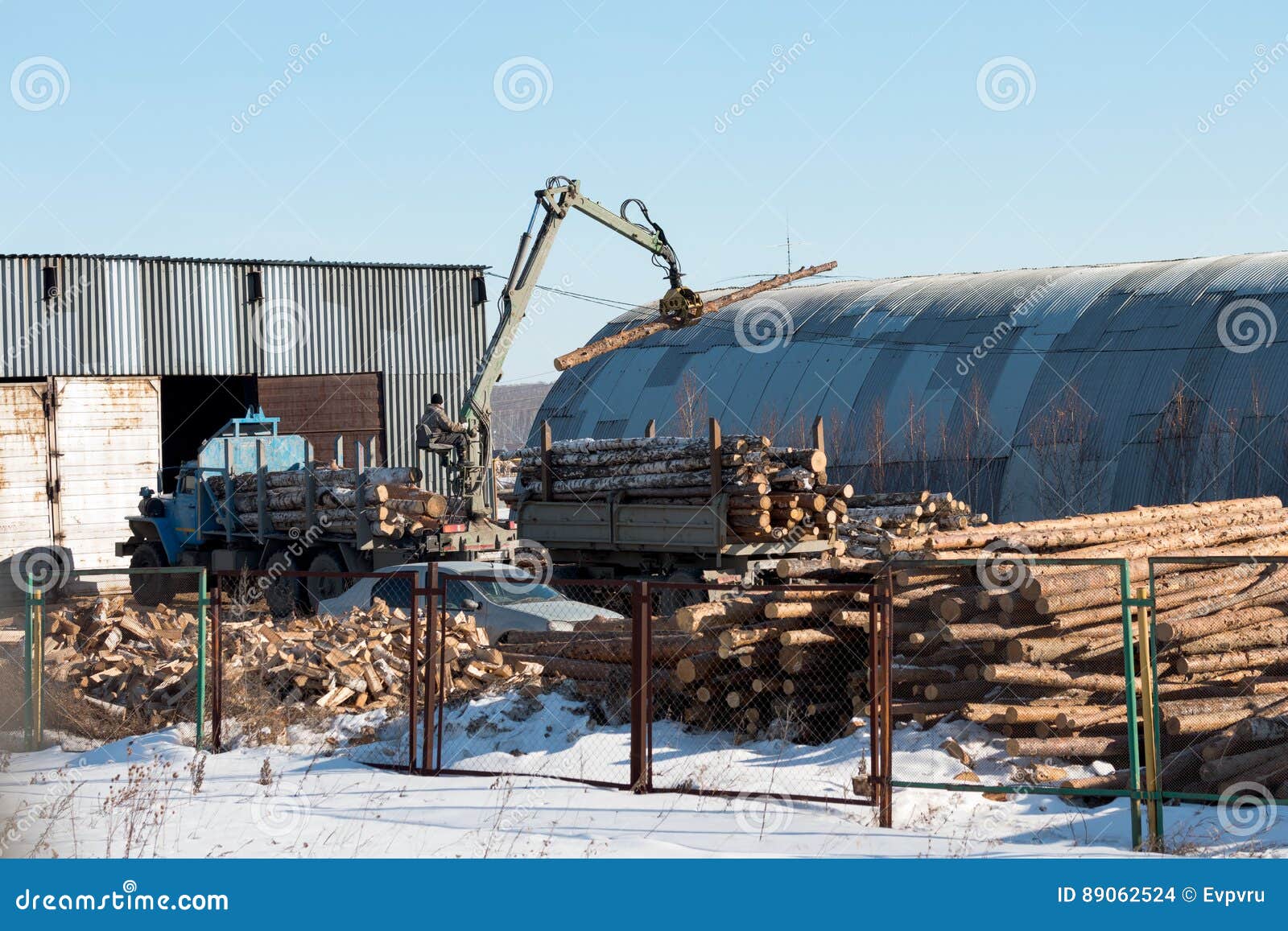 Loader Loads the Logs into a Truck Timber Stock Photo - Image of tree ...
