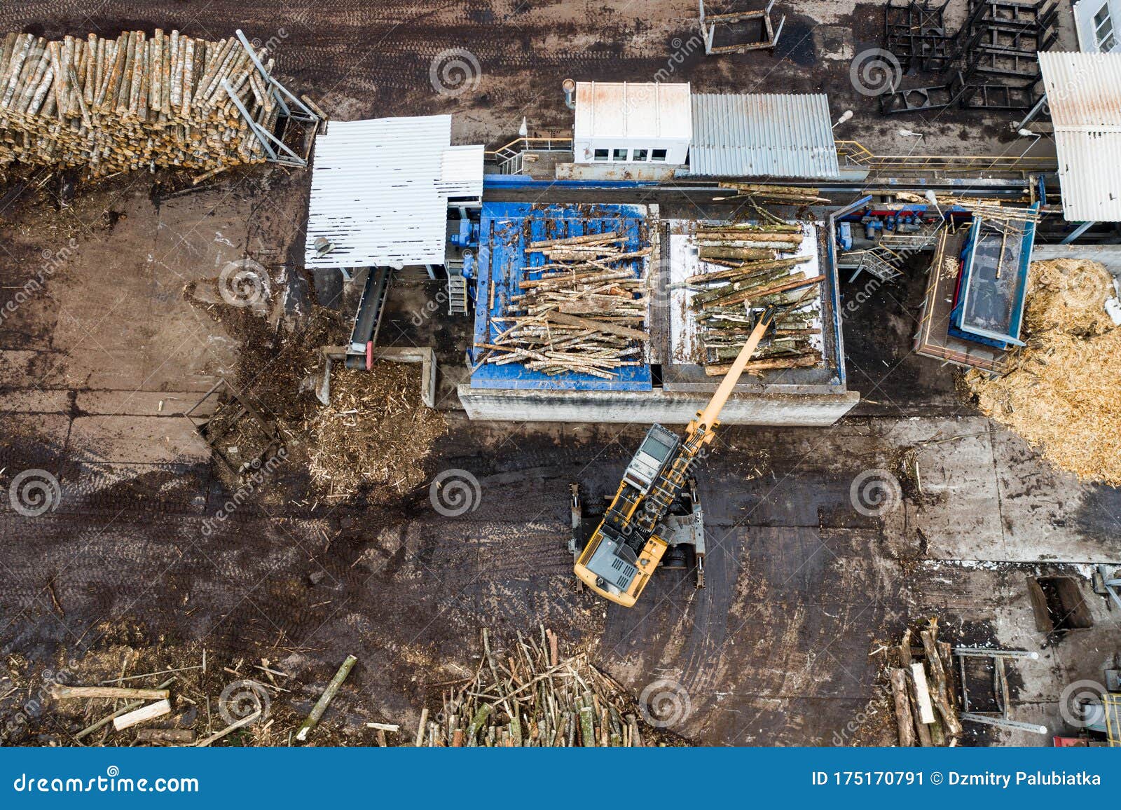 A Loader Loads Logs at a Wood Processing Factory from Above from a ...