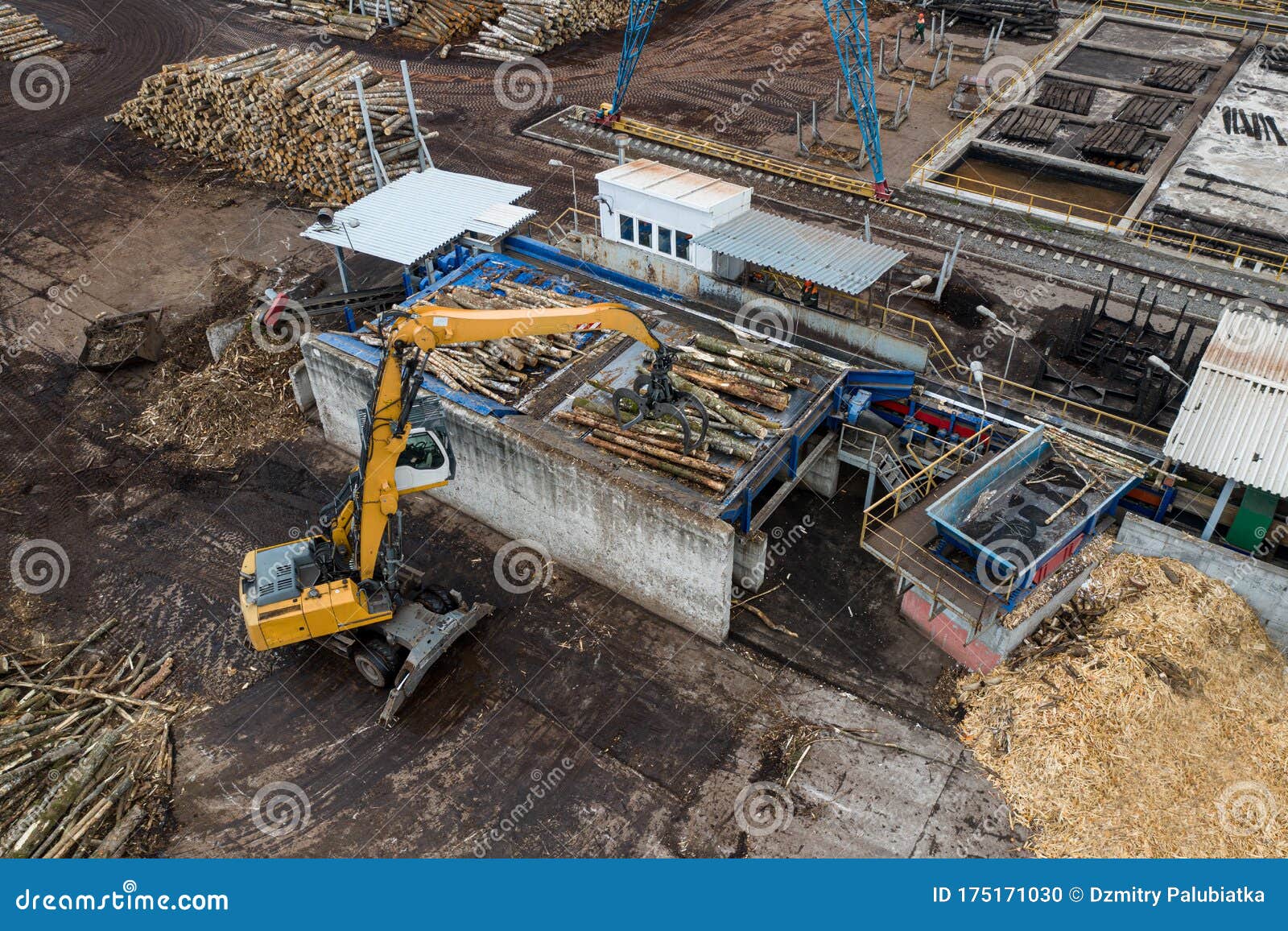 A Loader Loads Logs at a Wood Processing Factory from Above from a ...