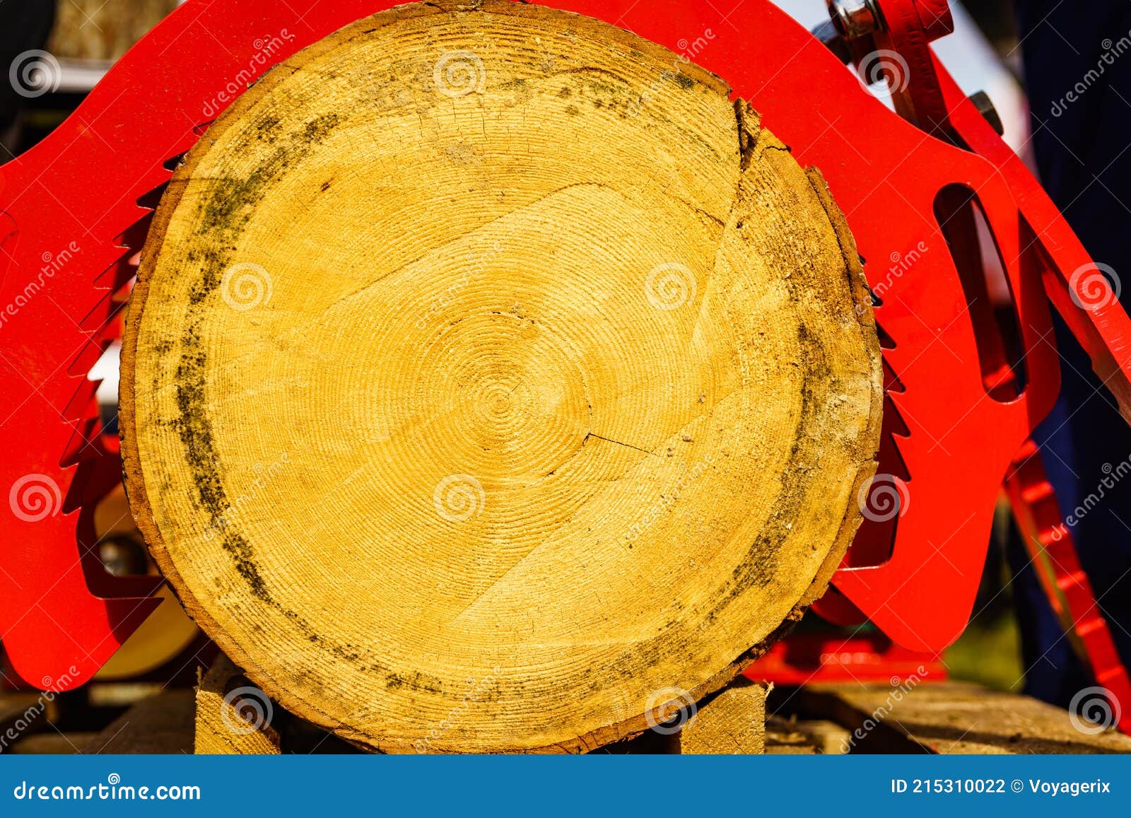 Loader Machine with Big Wood Log Stock Photo - Image of logging ...