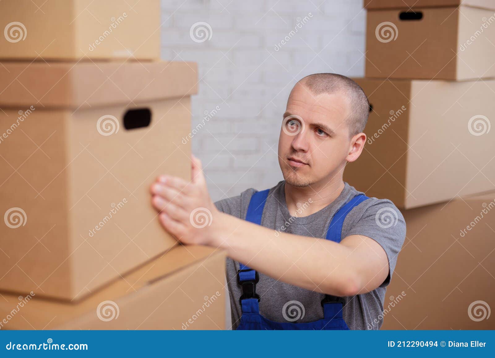 Loader Taking Big Box from Shelf in Warehouse Stock Photo - Image of ...