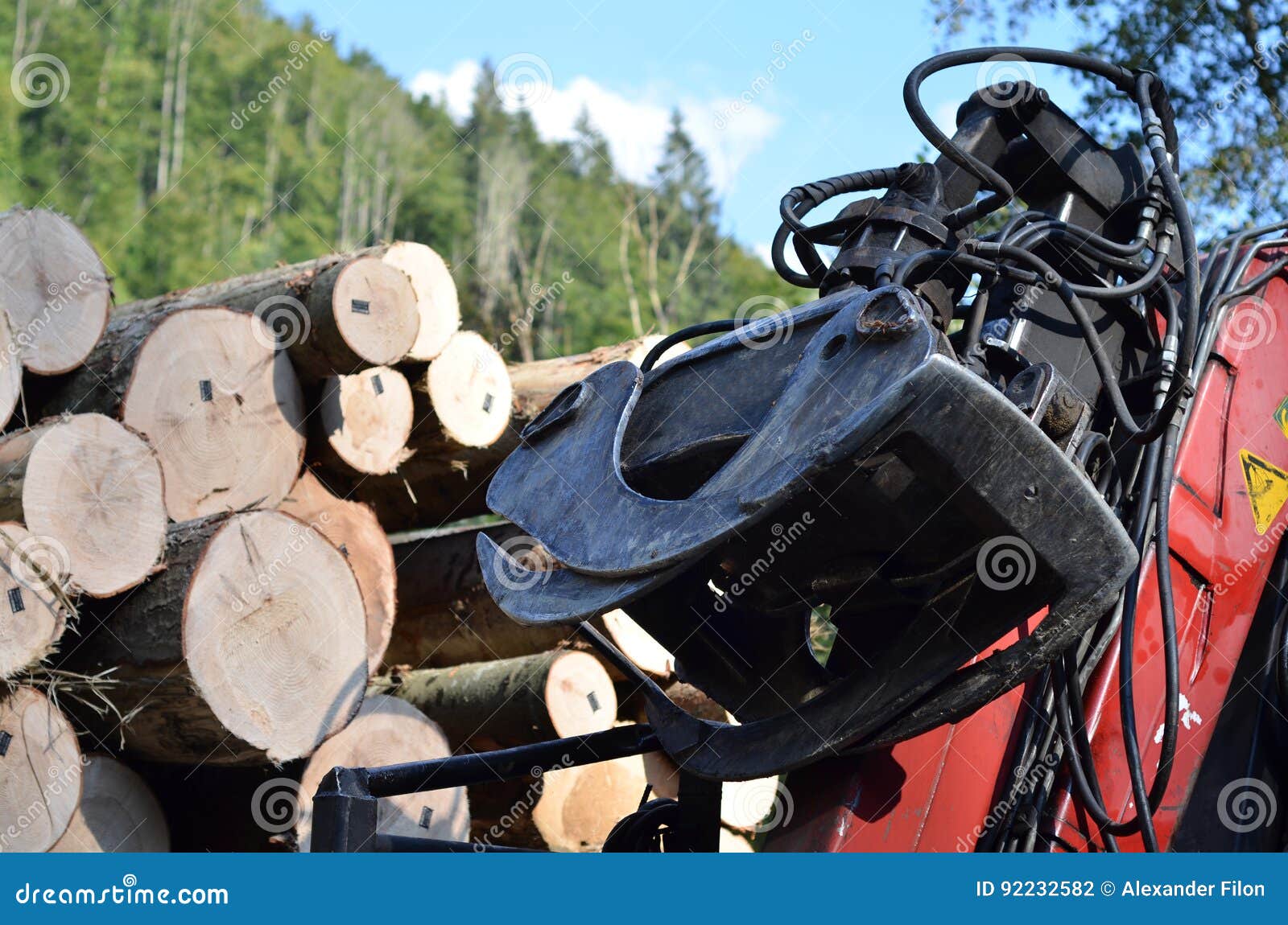 Loader timber truck stock photo. Image of lumber, forestry - 92232582