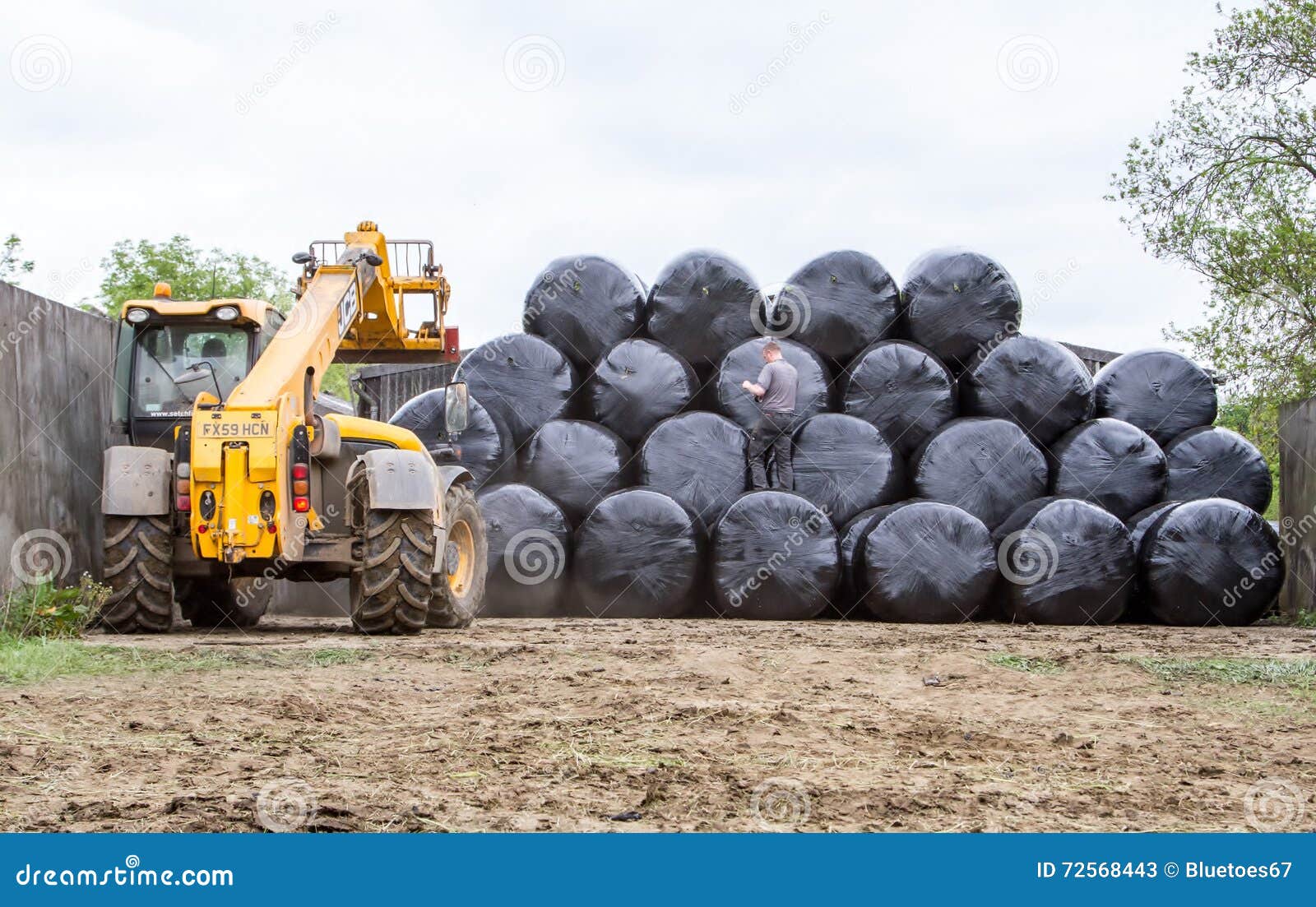Loader Tractor Stacking Round Bales in a Stack Editorial Stock Photo ...