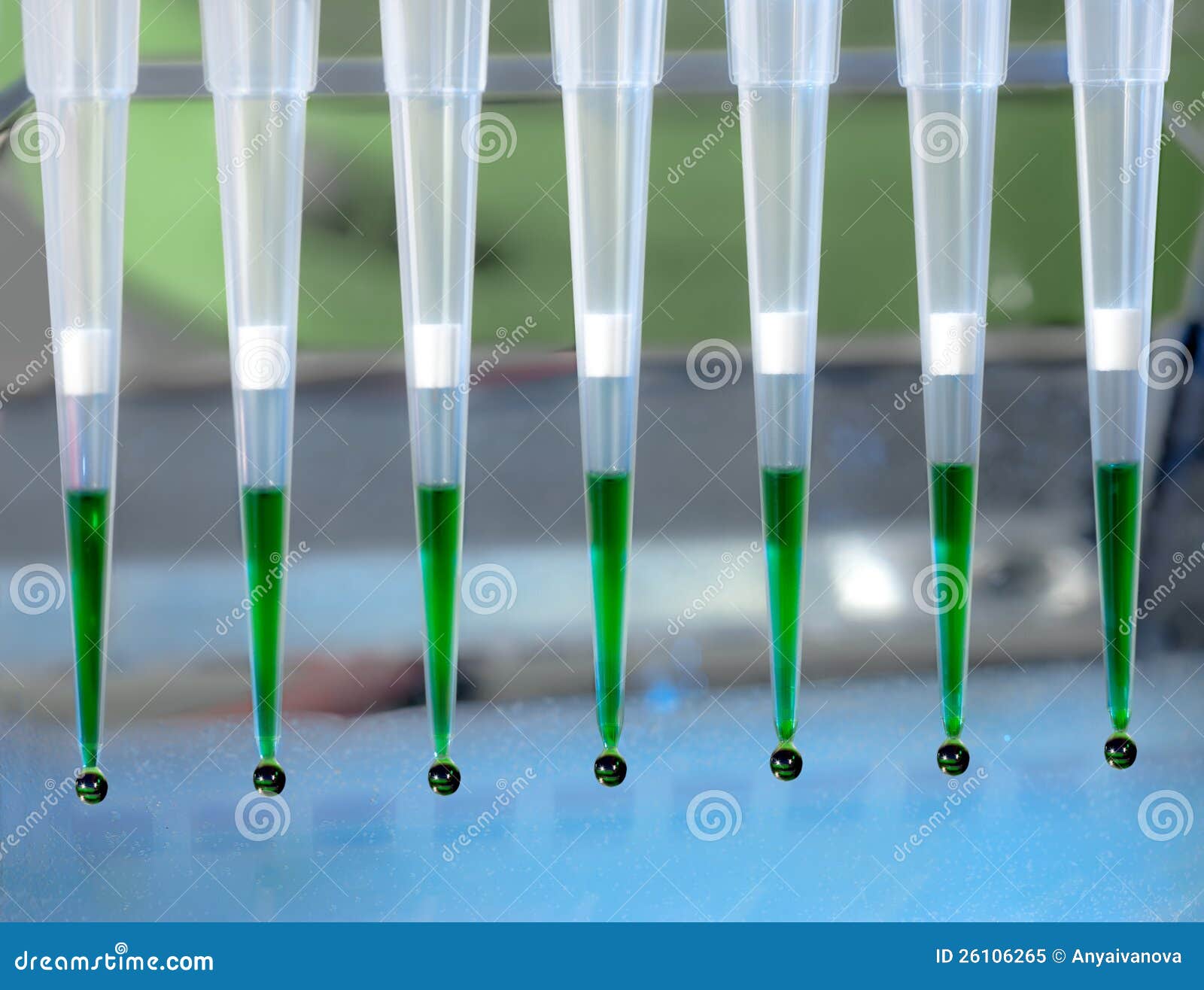 Loading of Amplified DNA To Agarose Gel Stock Image - Image of blood ...