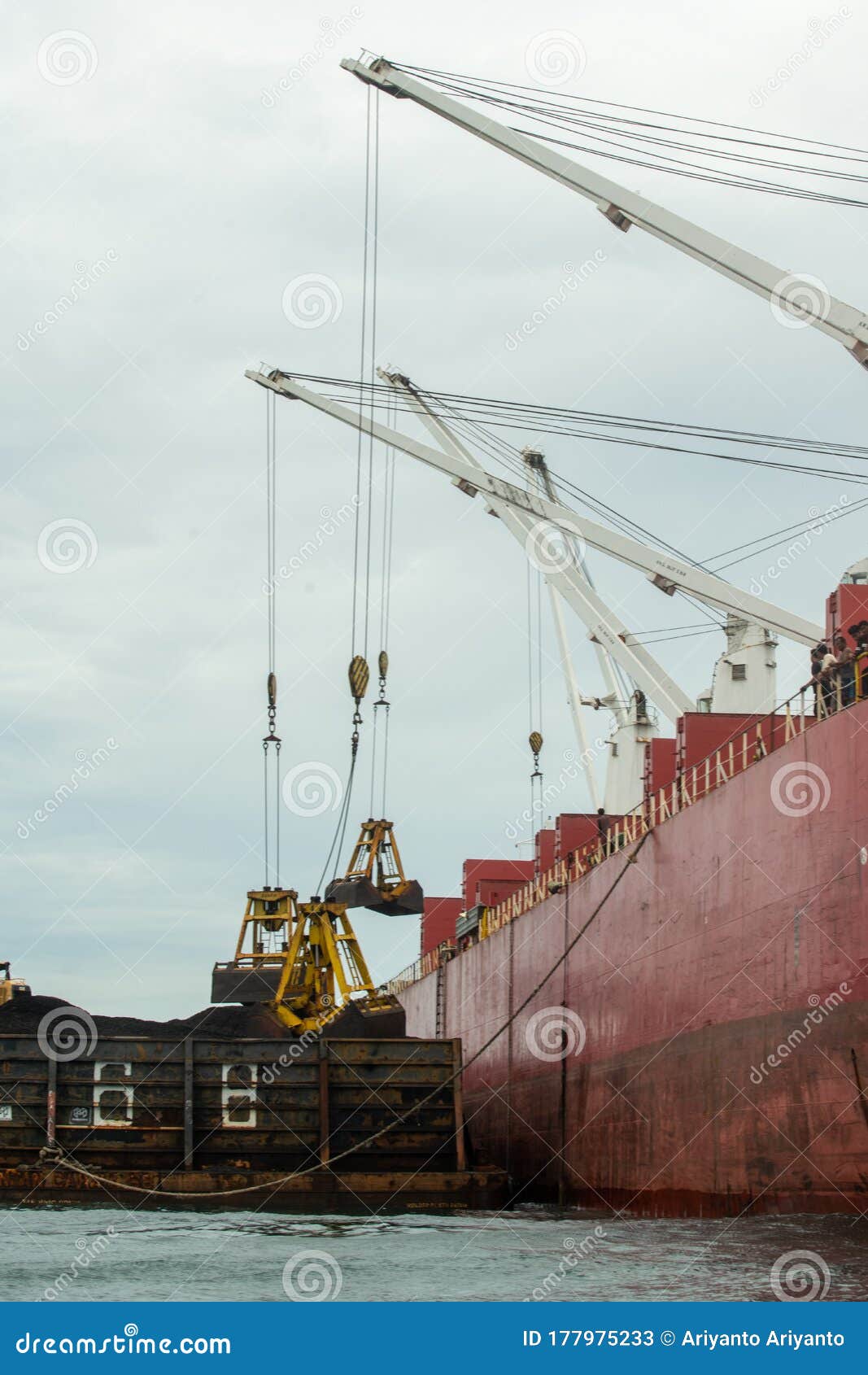 Loading Coal from Cargo Barges Onto a Bulk Vessel Using Ship Cranes ...