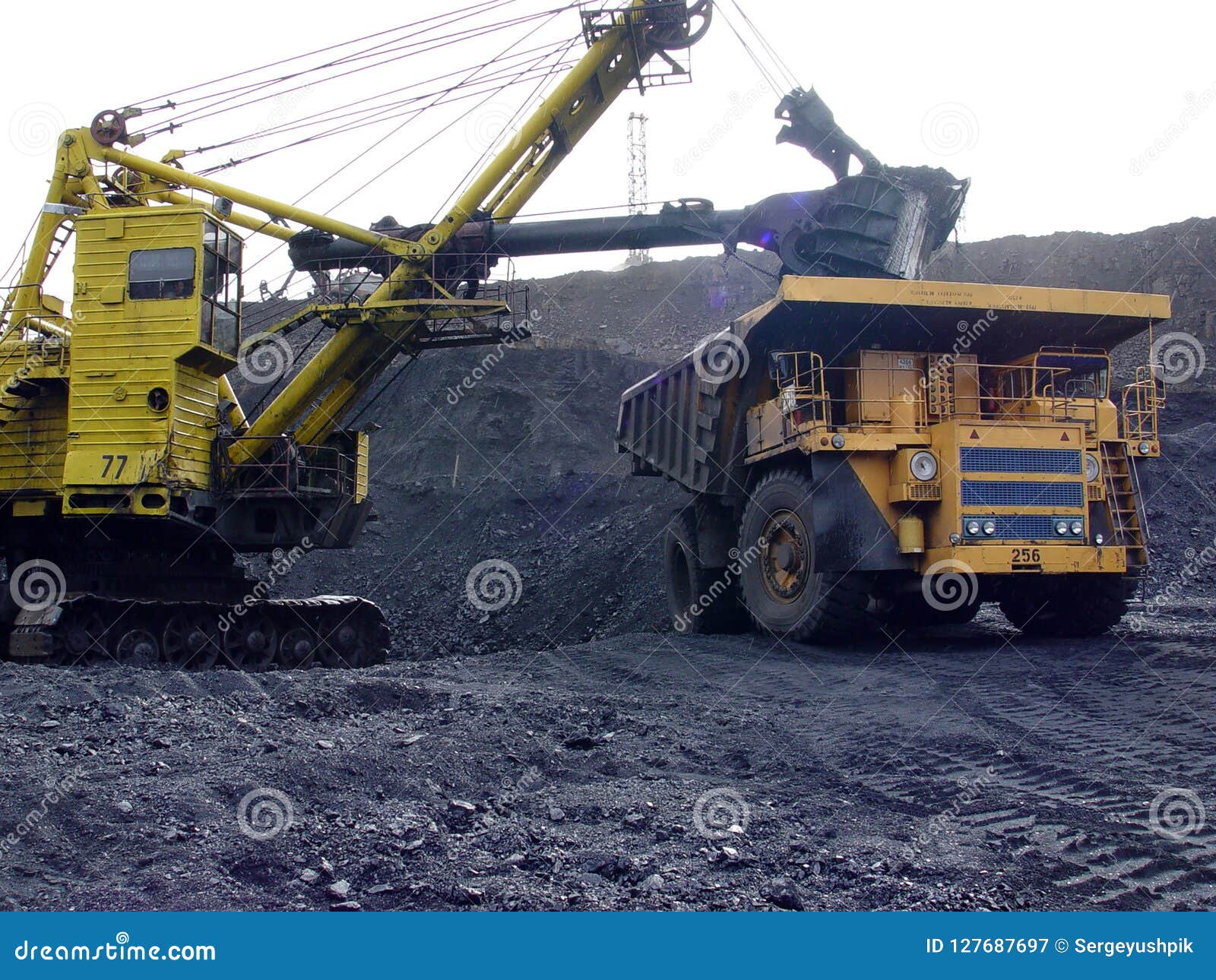 Loading Coal into a Mining Dump Truck Stock Image - Image of industry ...