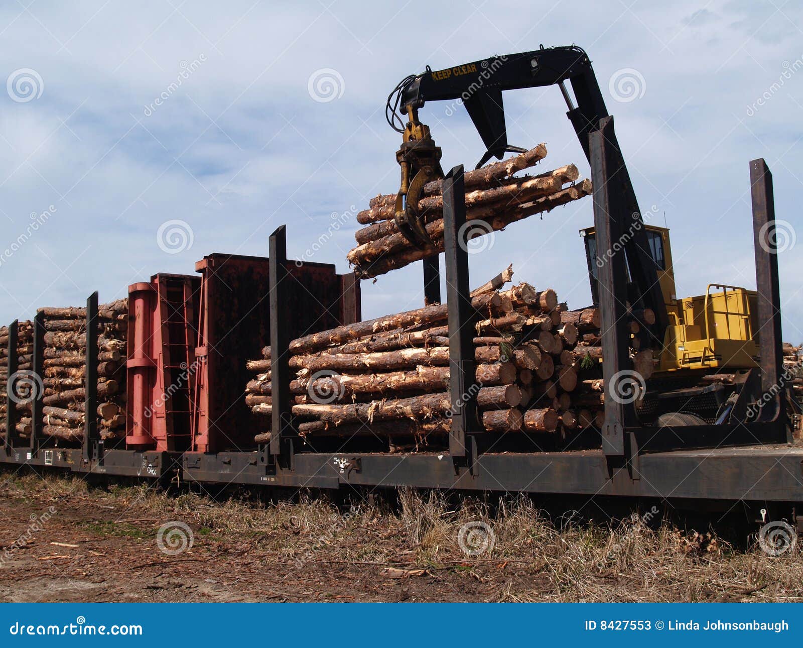 Loading Cut Trees on a Railcar Stock Image - Image of line, rail: 8427553