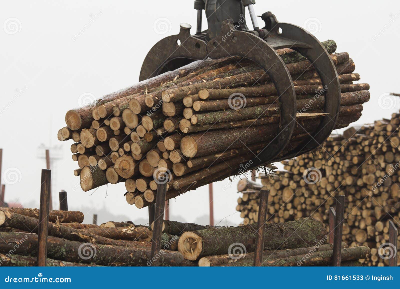 Loading cut wooden logs stock image. Image of large, load - 81661533