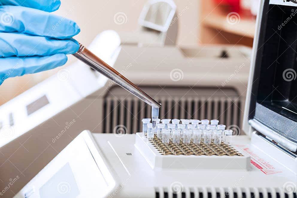 Loading DNA Samples for PCR Stock Photo - Image of latex, expertise ...