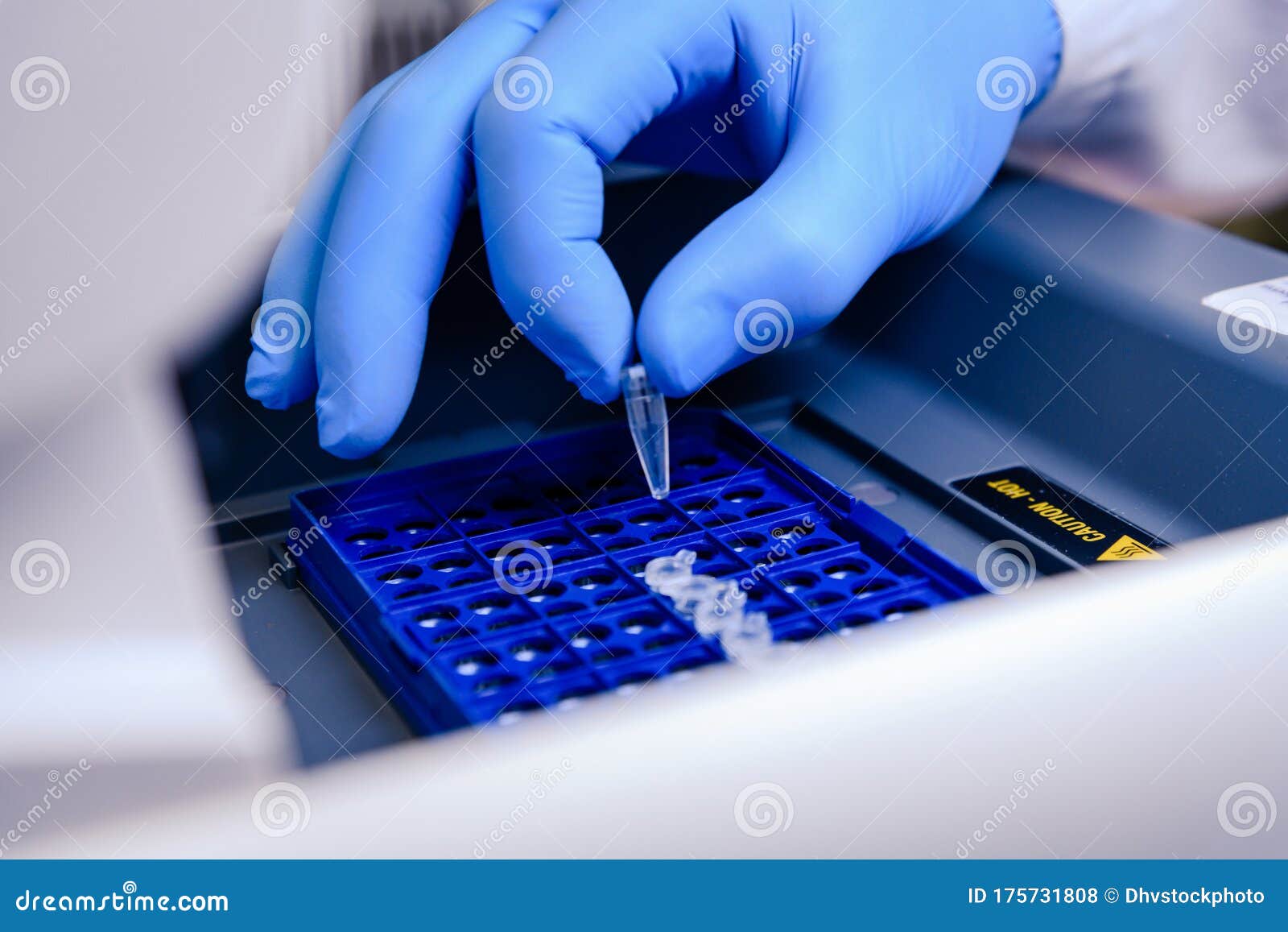 Loading a DNA Tube into a PCR Polymerase Chain Reaction Thermocycler ...