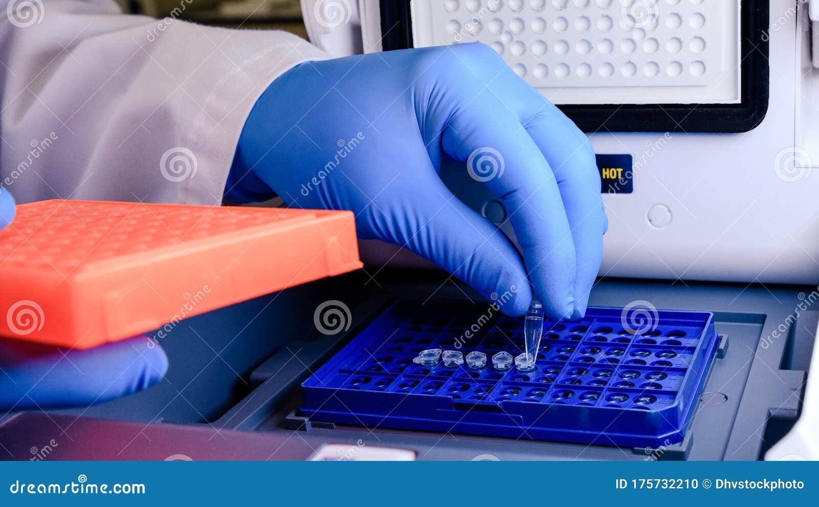 Loading a DNA Tube into a PCR Polymerase Chain Reaction Thermocycler ...