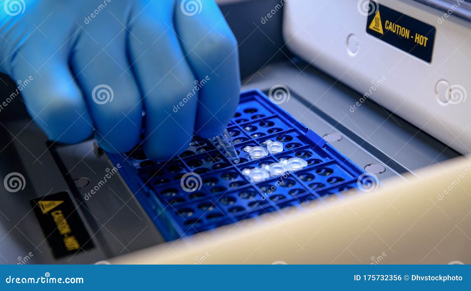 Loading a DNA Tube into a PCR Polymerase Chain Reaction Thermocycler ...