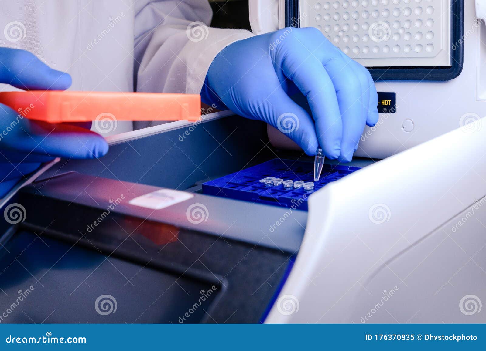 Loading a DNA Tube into a PCR Polymerase Chain Reaction Thermocycler ...