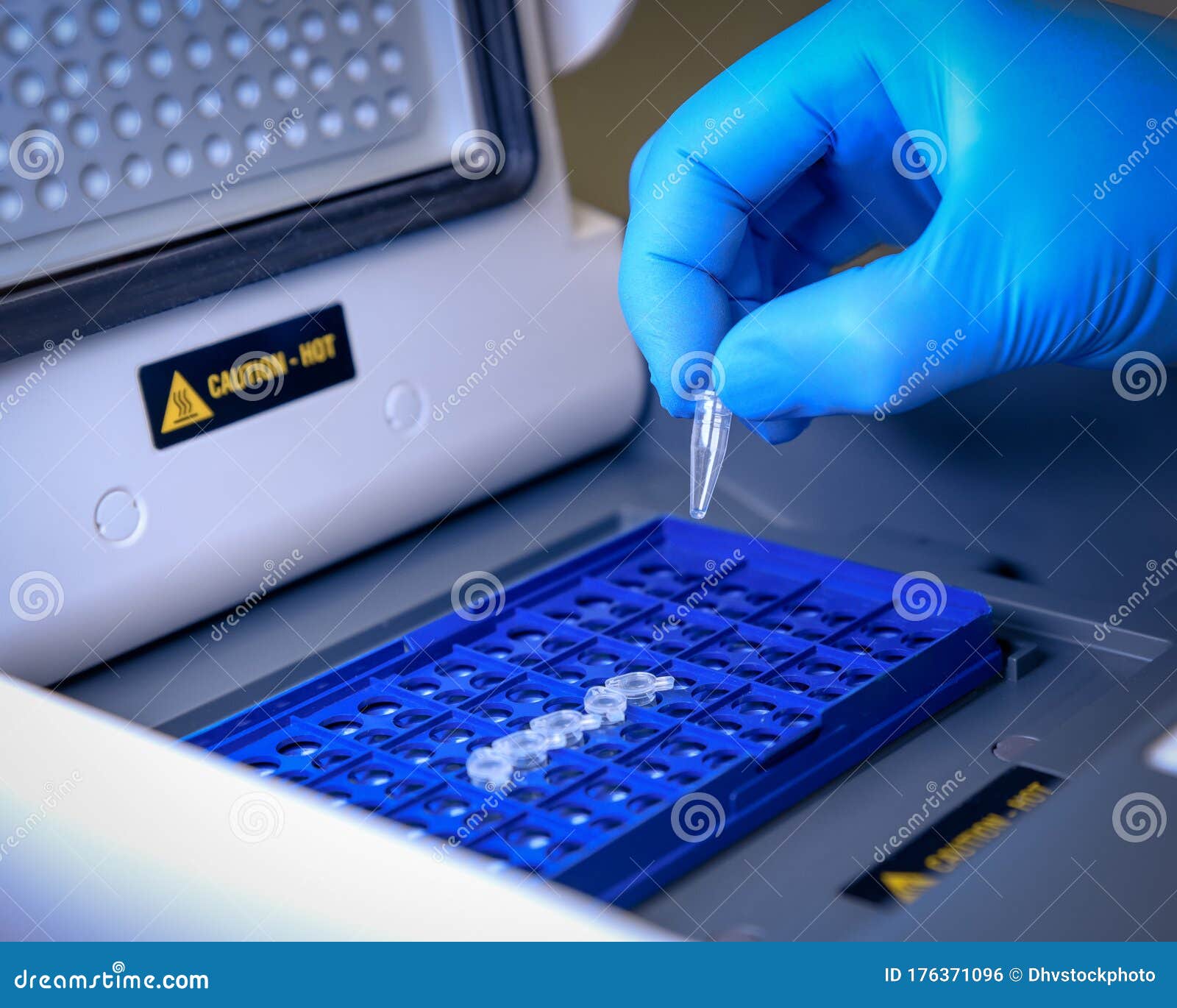 Loading a DNA Tube into a PCR Polymerase Chain Reaction Thermocycler ...