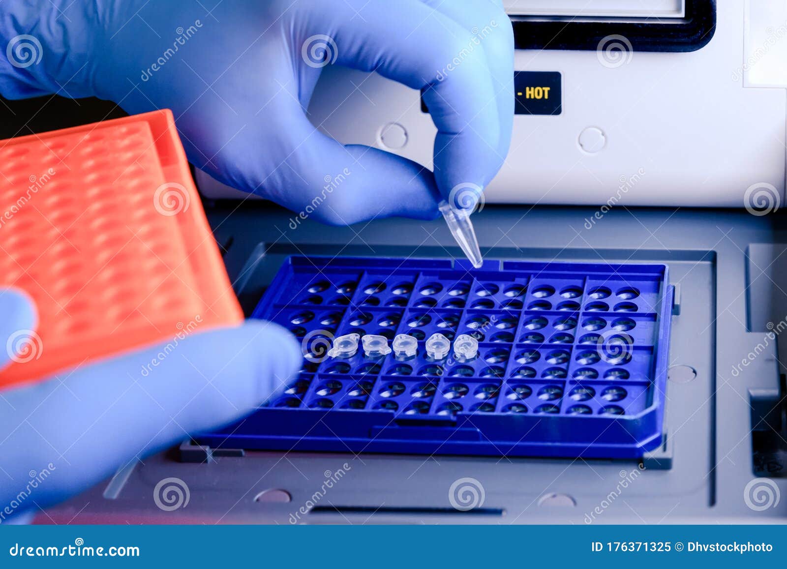 Loading a DNA Tube into a PCR Polymerase Chain Reaction Thermocycler ...