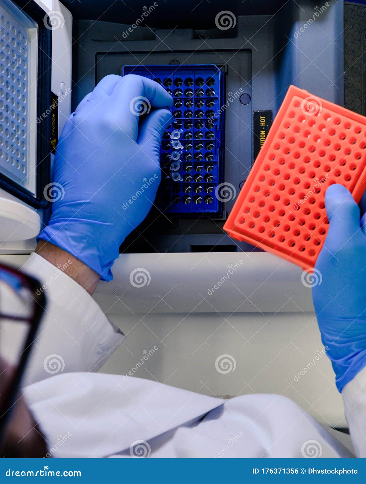 Loading a DNA Tube into a PCR Polymerase Chain Reaction Thermocycler ...