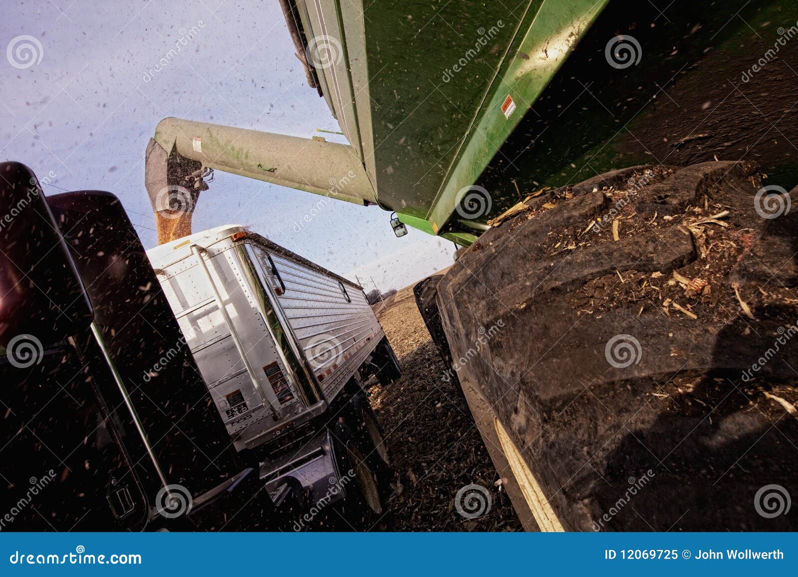Loading grain stock image. Image of angle, pour, field - 12069725