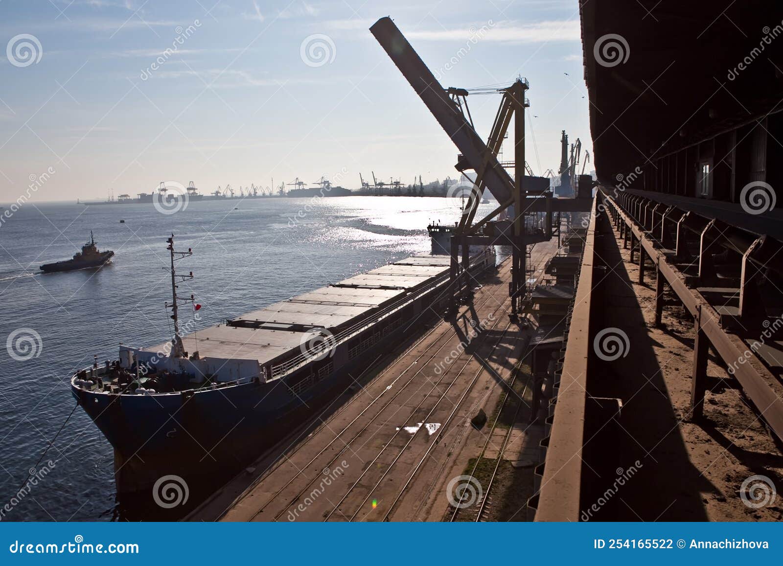 Loading Grain into Holds of Sea Cargo Vessel in Seaport from Grain ...