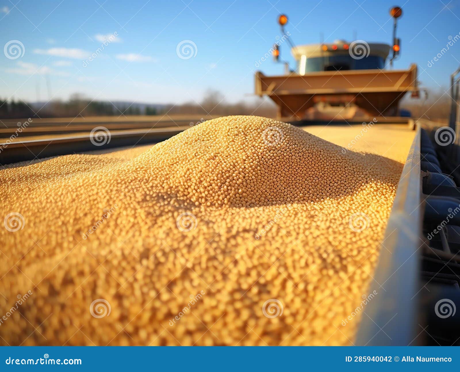 Loading Grain Into Holds Of Sea Cargo Vessel In Seaport From Silos Of ...