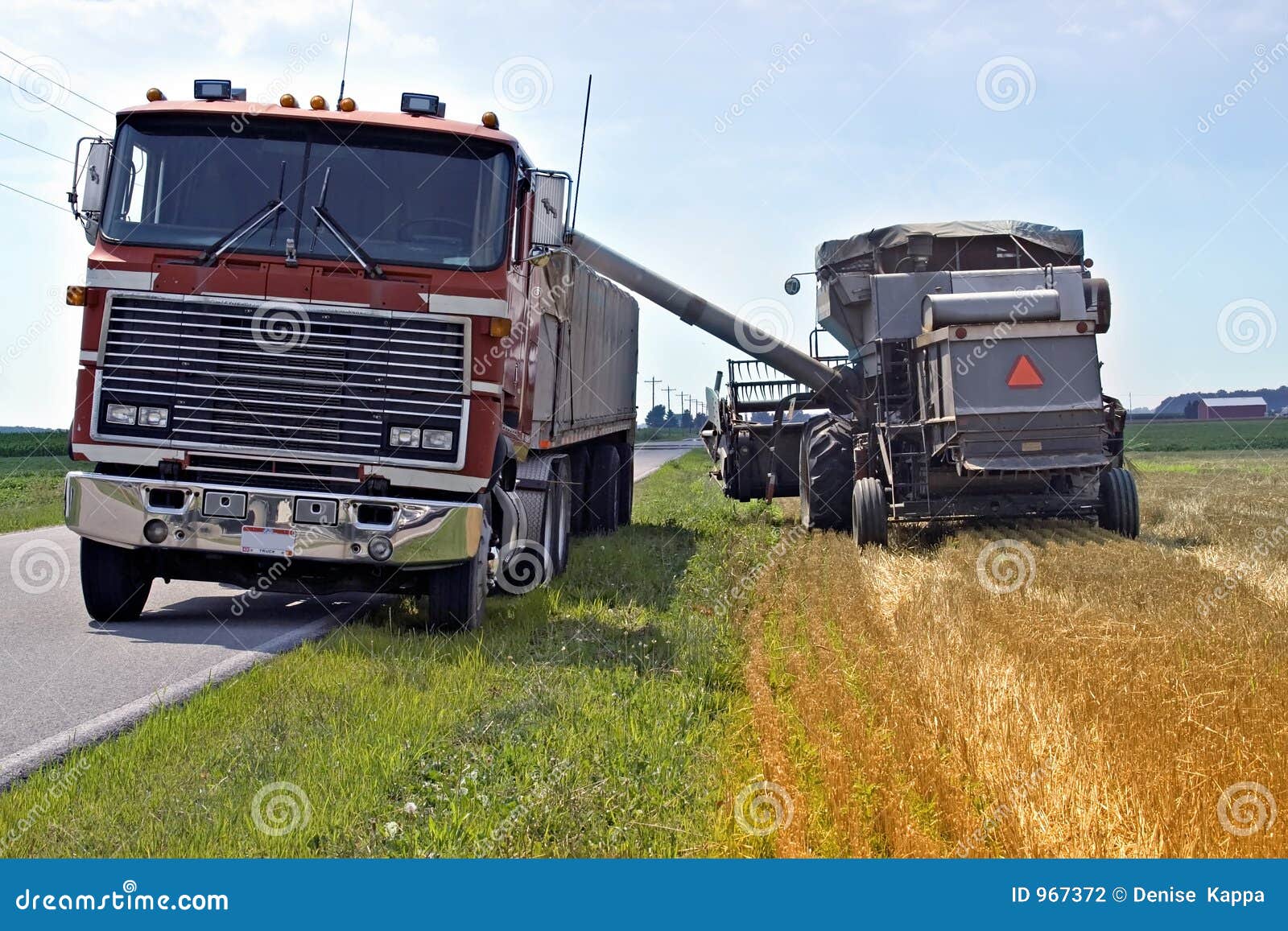 Loading Grain for Transport Stock Photo - Image of blue, haul: 967372