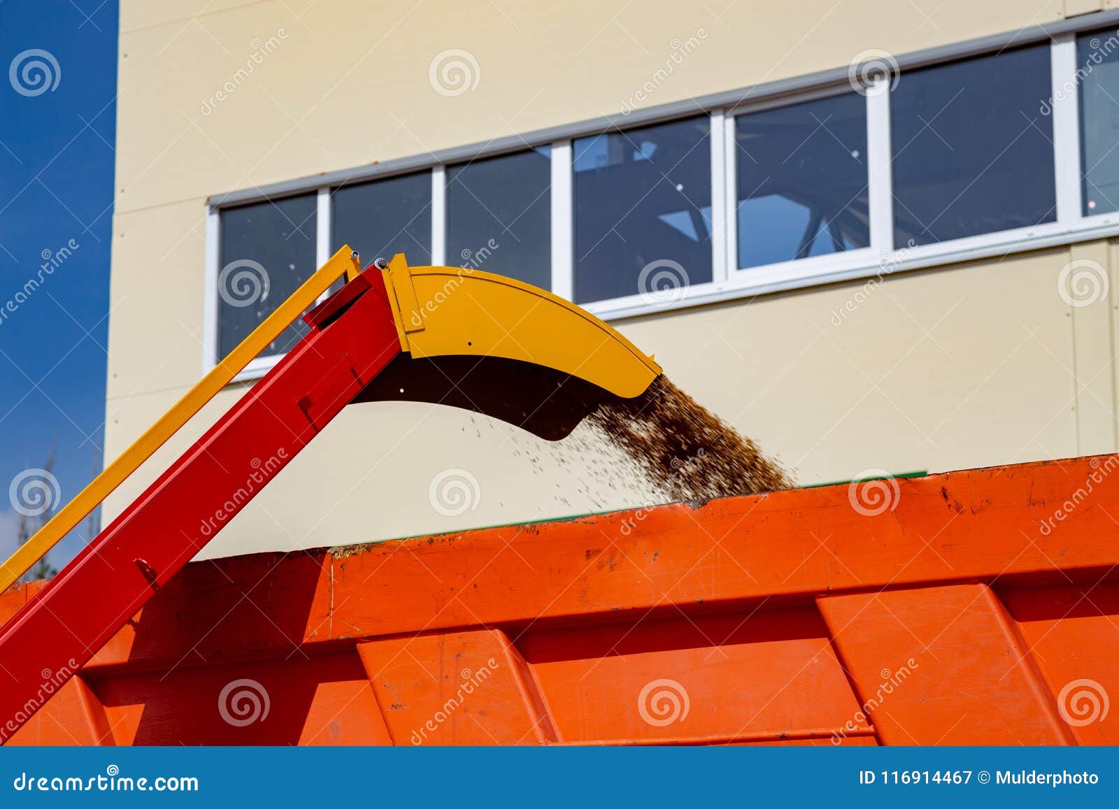 Loading Grain into Truck by Grain Thrower Loader Machine Stock Image ...
