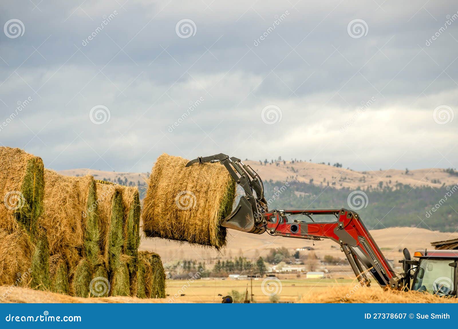 Loading Hay Bales stock image. Image of machinery, ranching - 27378607