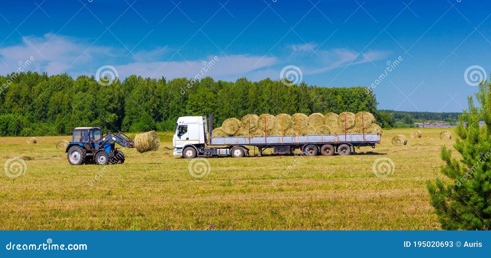 Loading Hay Bales Onto a Truck Stock Image - Image of countryside ...