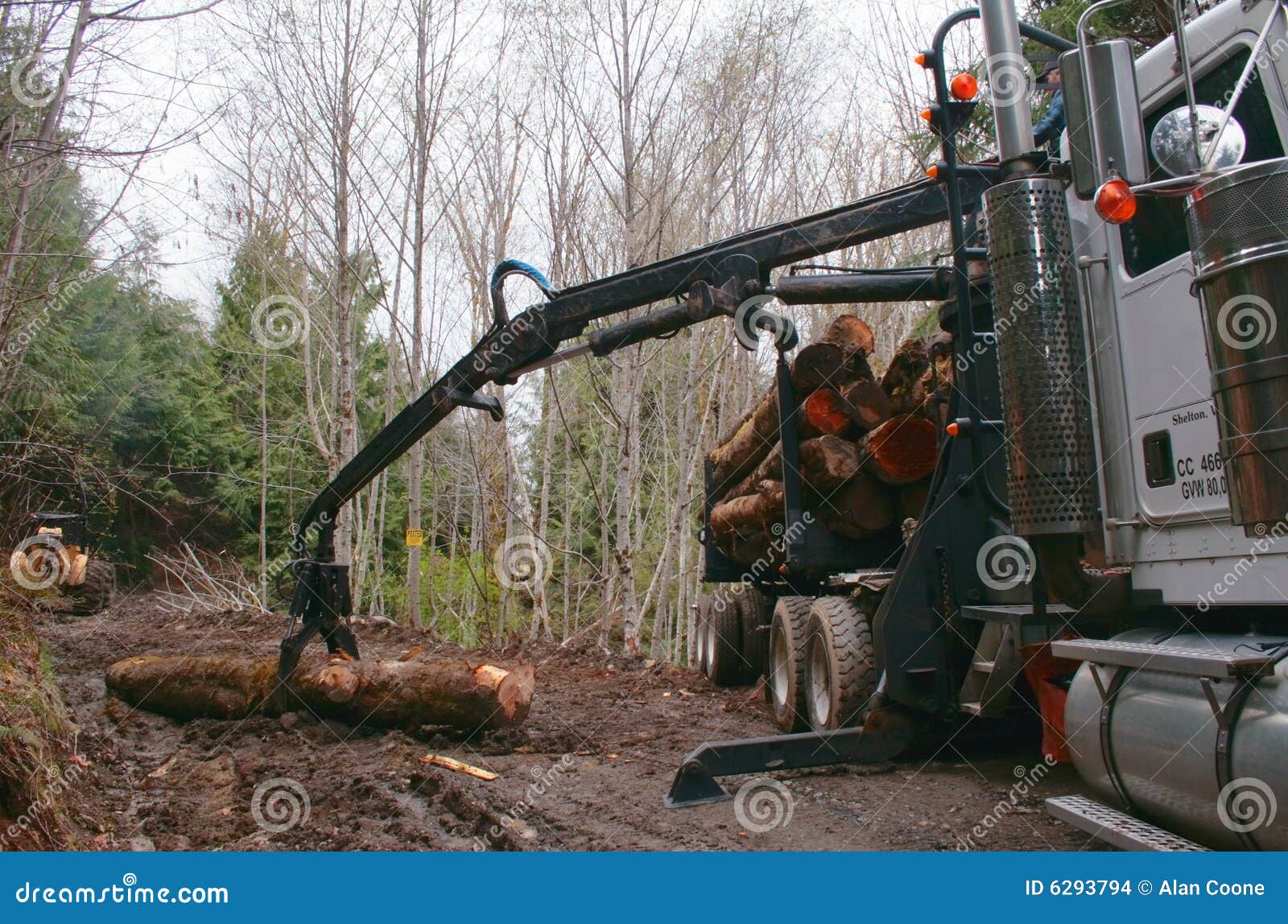 Loading Logs 03 stock photo. Image of lumber, trucks, wood - 6293794
