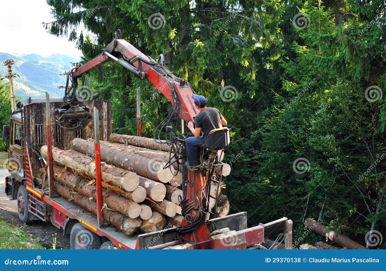 Loading logs editorial stock photo. Image of pine, labor - 29370138