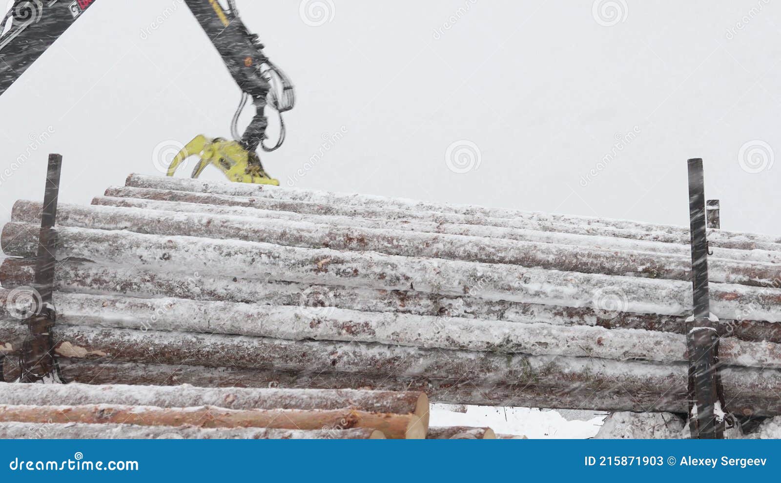 Loading Logs with a Manipulator Stock Video - Video of forestry ...