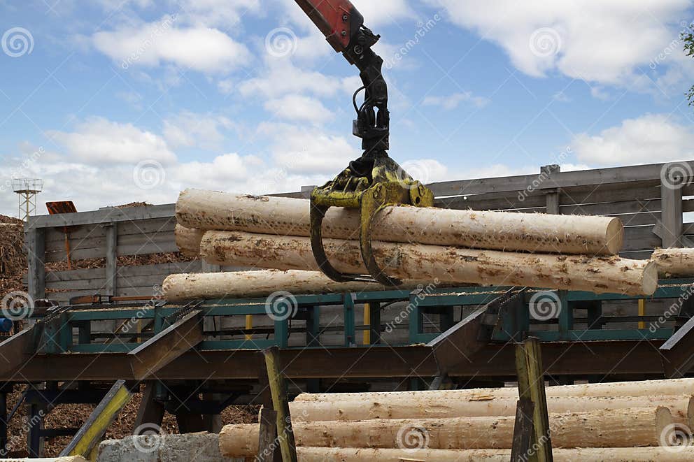 Loading Logs Onto a Logging Truck. Portable Crane on a Logging Truck ...