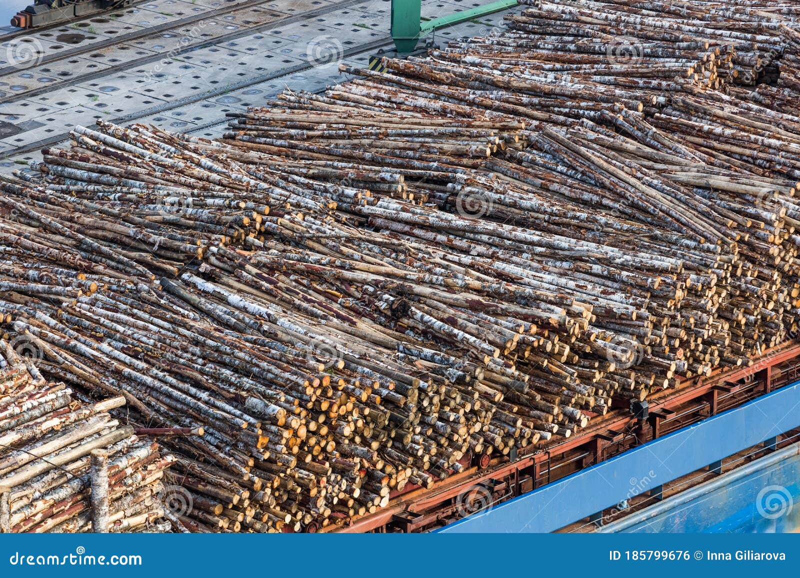 Loading of Logs in the Port Stock Photo - Image of natural, lumberyard ...