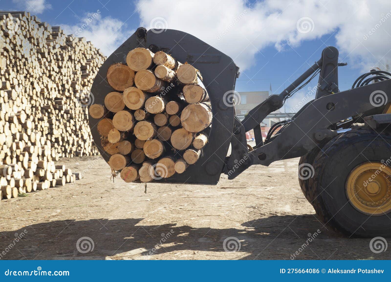 Loading Logs with a Special Loader.Timber Products Warehouse on a ...
