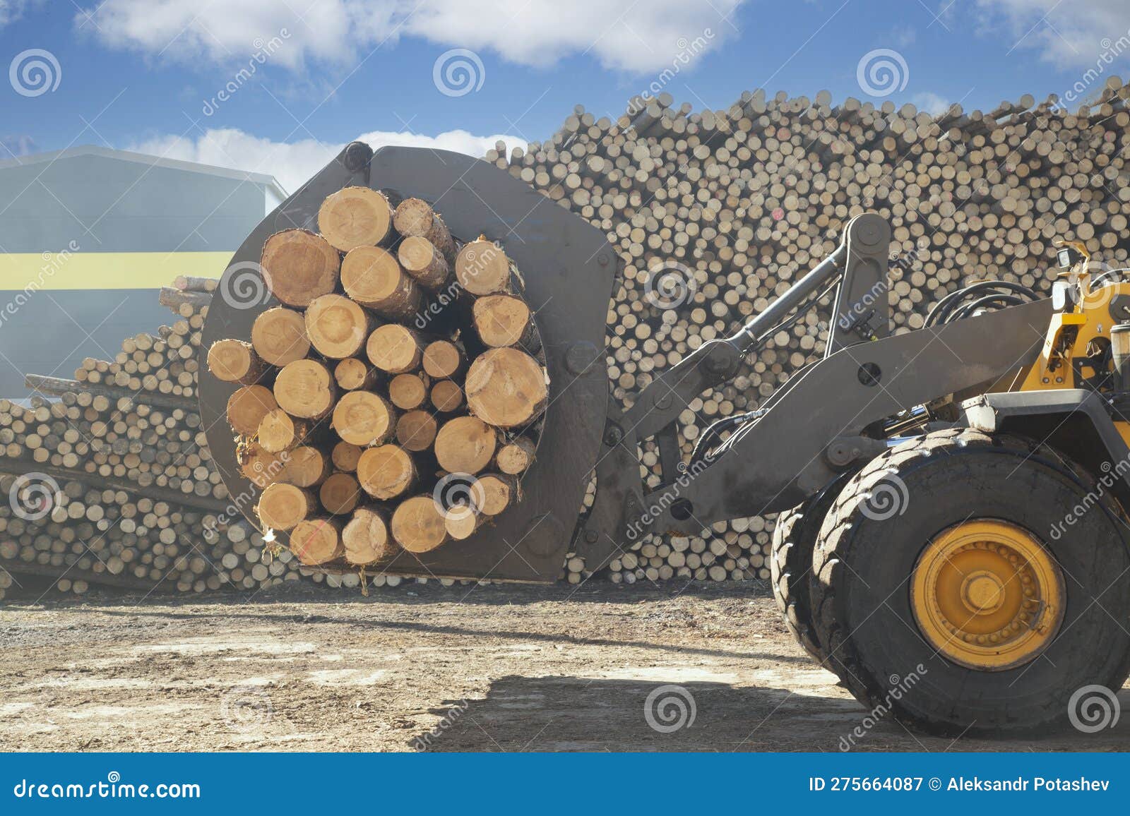 Loading Logs with a Special Loader.Timber Products Warehouse on a ...
