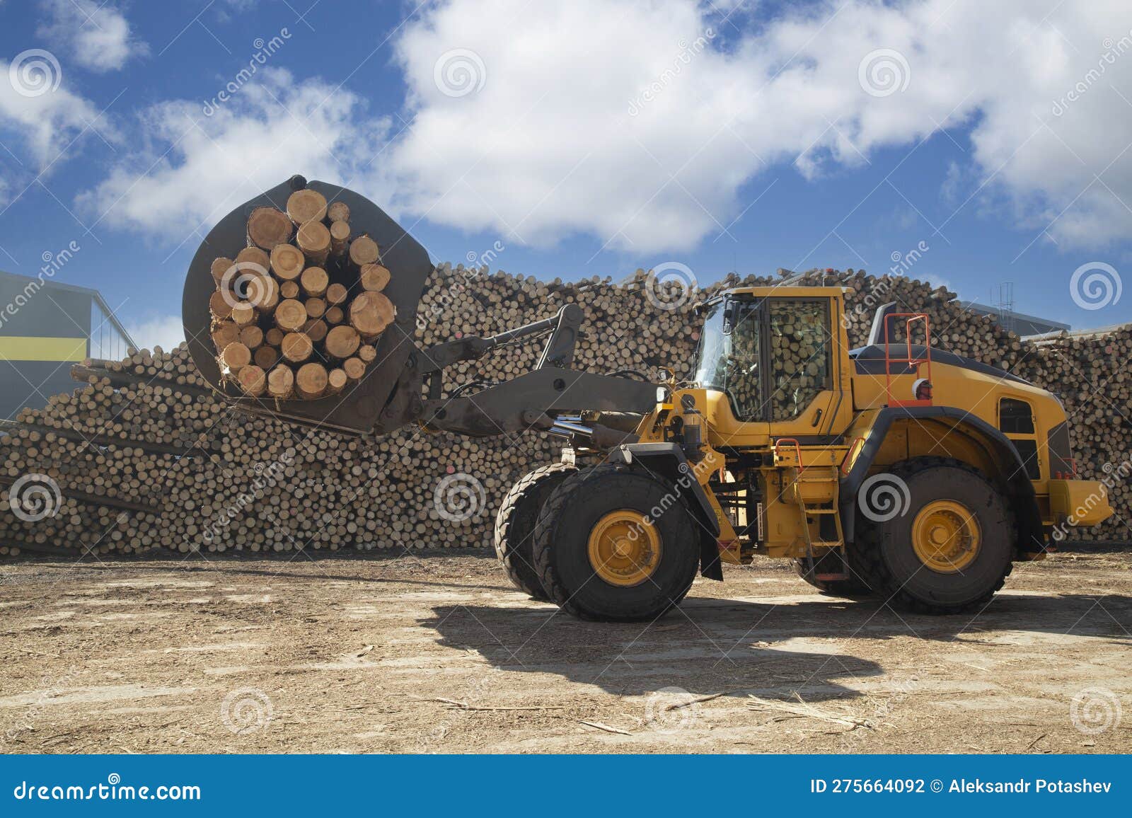 Loading Logs with a Special Loader.Timber Products Warehouse on a ...