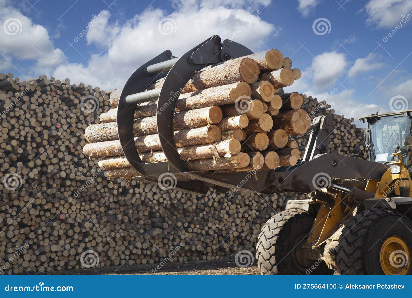 Loading Logs with a Special Loader.Timber Products Warehouse on a ...