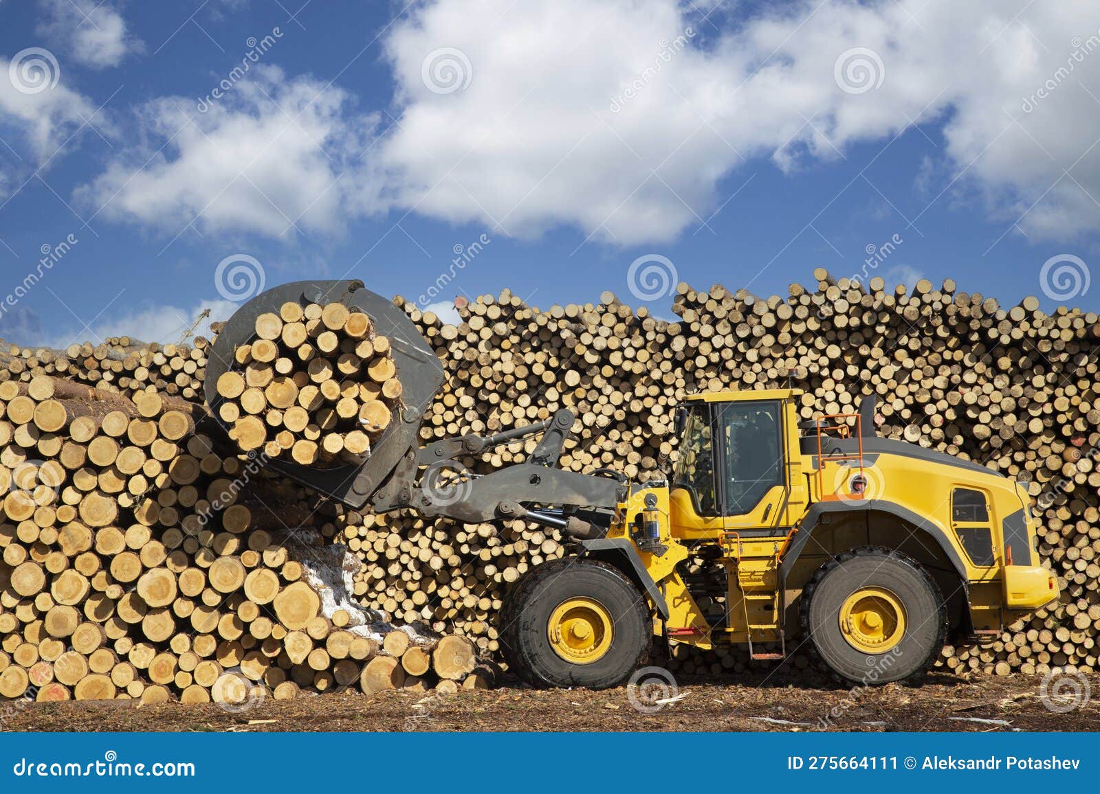Loading Logs with a Special Loader.Timber Products Warehouse on a ...