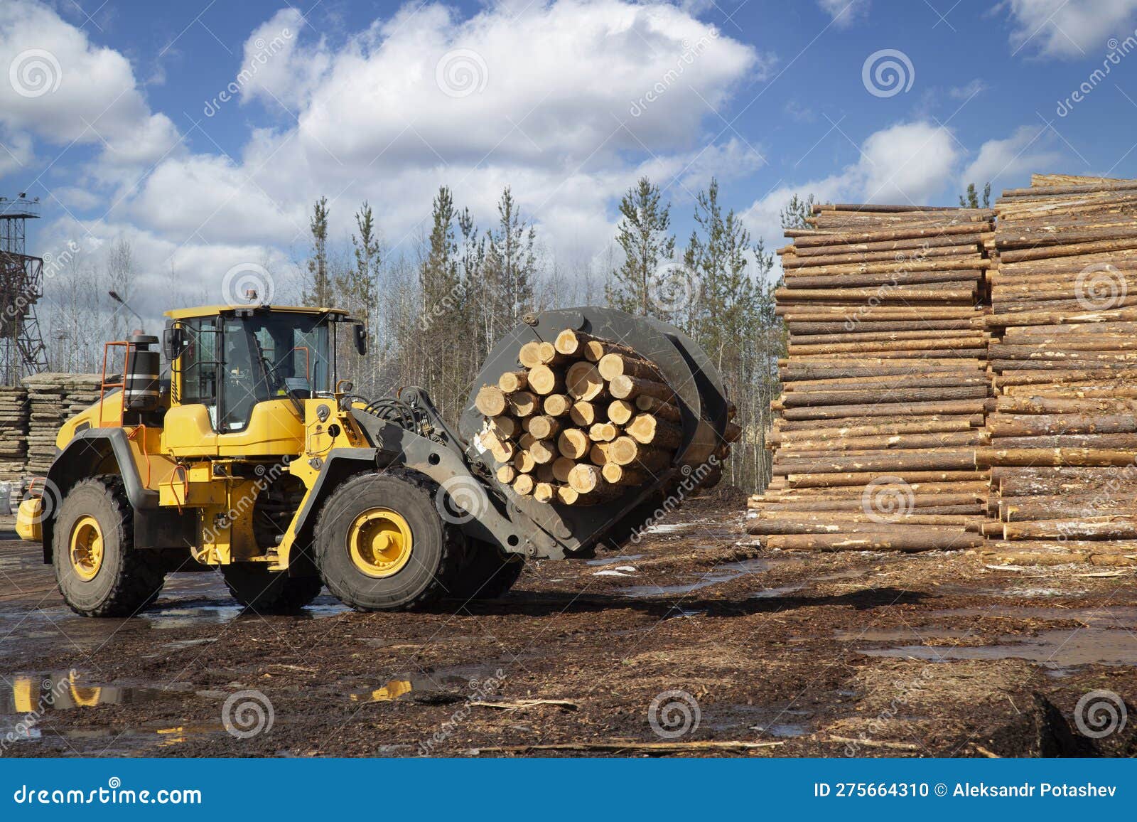 Loading Logs with a Special Loader.Timber Products Warehouse on a ...
