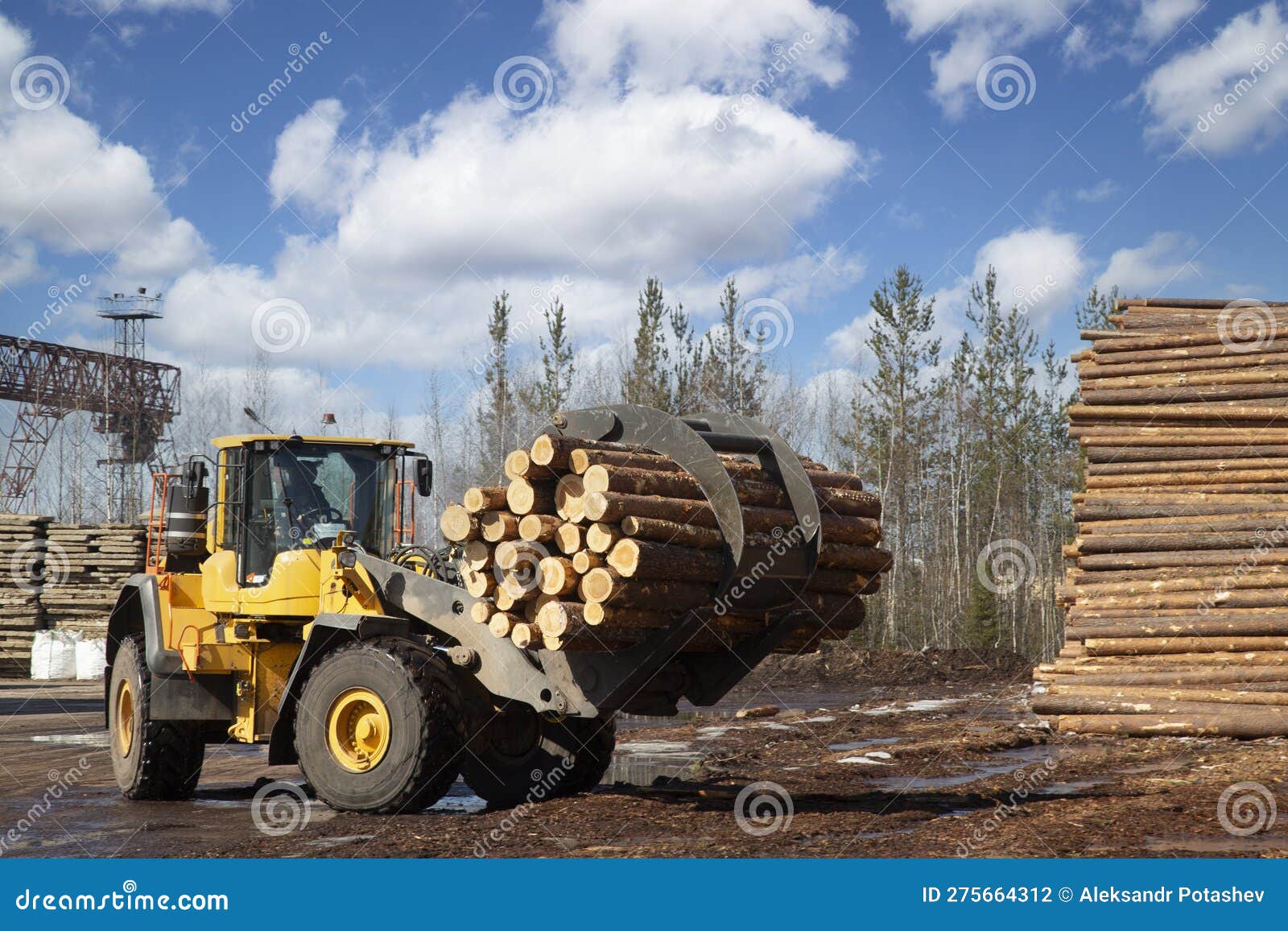 Loading Logs with a Special Loader.Timber Products Warehouse on a ...