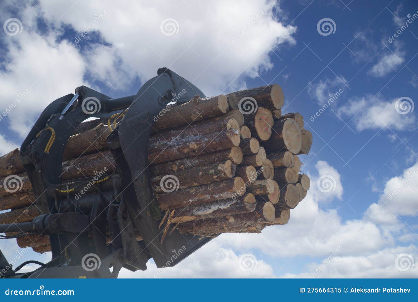 Loading Logs with a Special Loader.Timber Products Warehouse on a ...