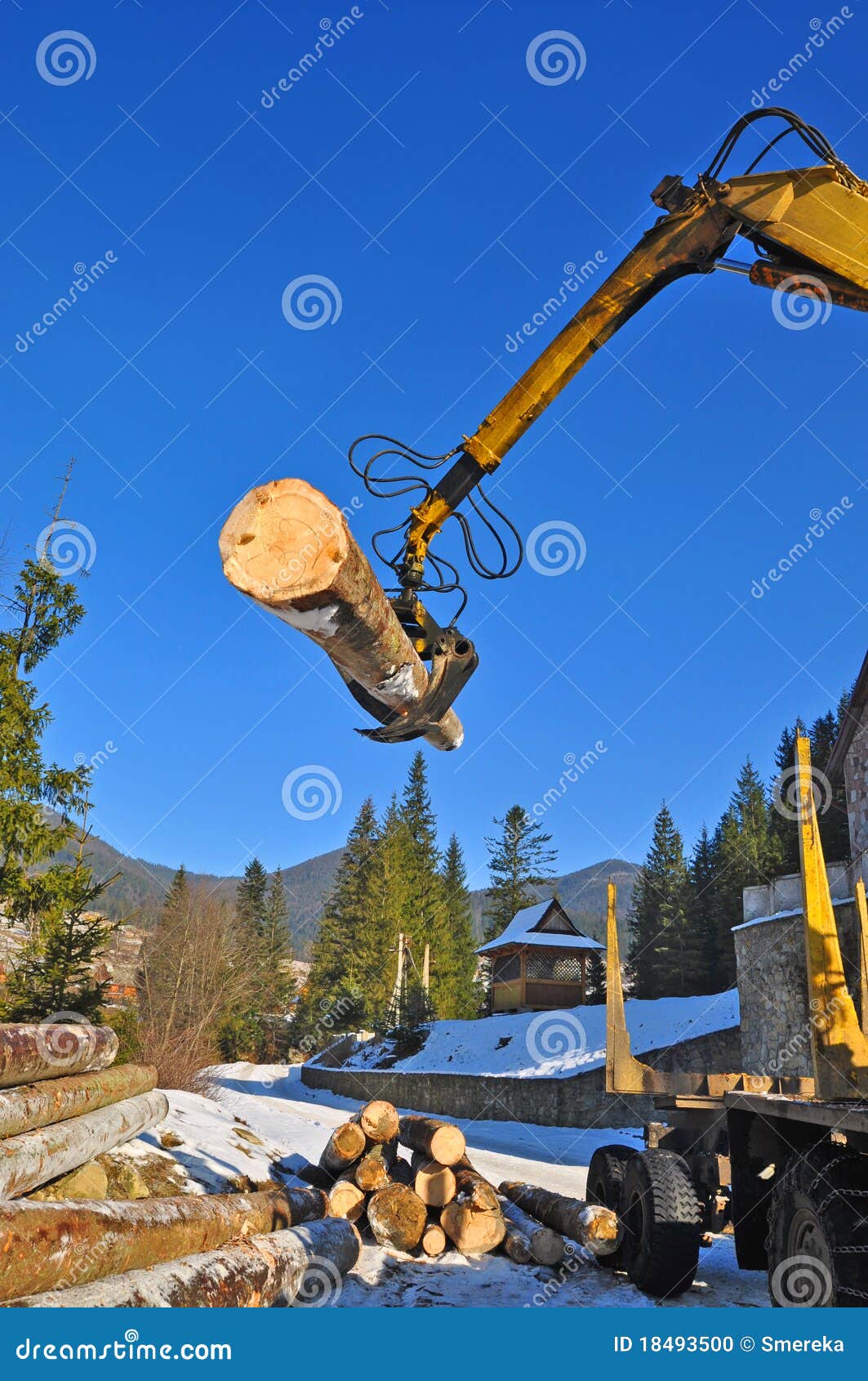 Loading of Logs on Transport Stock Photo - Image of converted, nature ...
