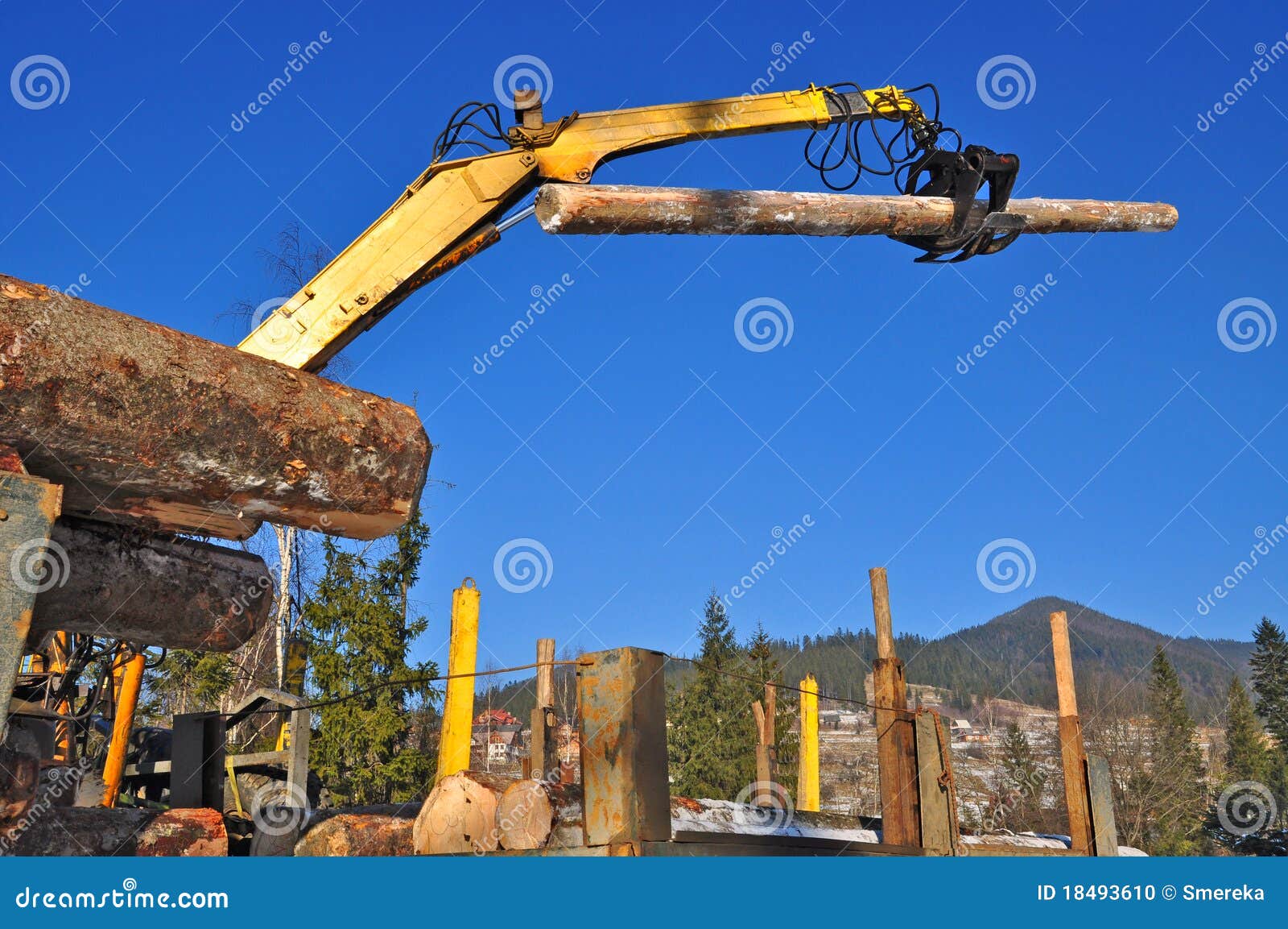 Loading of Logs on Transport Stock Photo - Image of unloading, timber ...